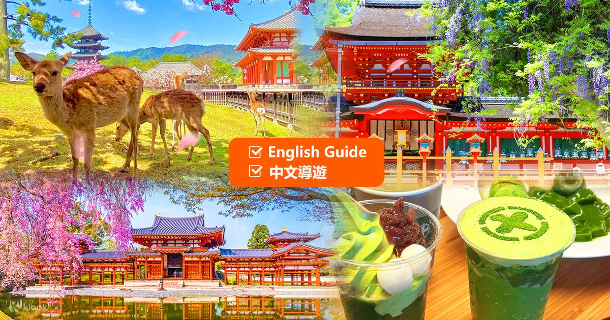 나라 공원 And 동대사 And 우지 And 겐지노유 일일 투어 클룩 Klook 한국
